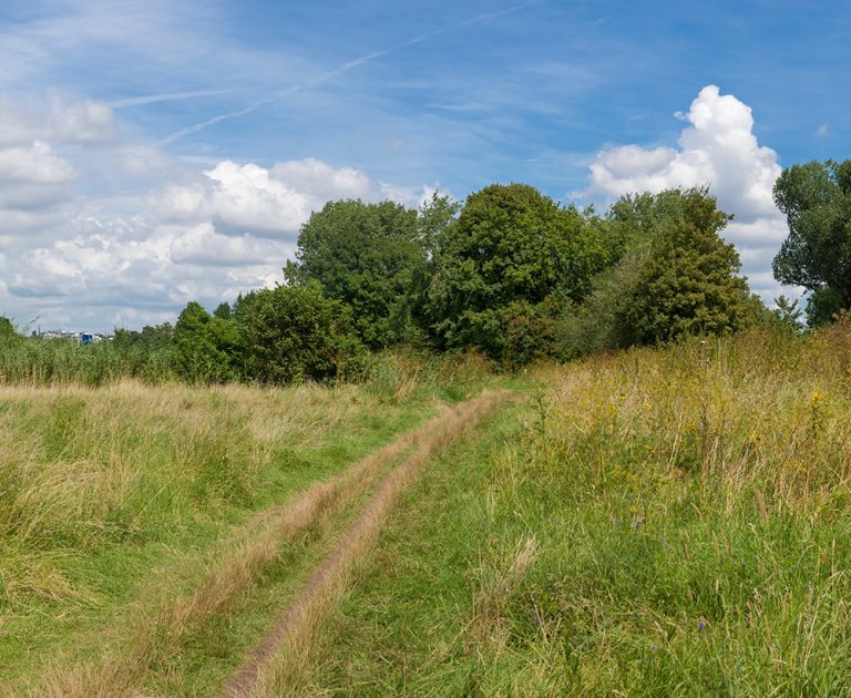 Handewitt - Schöner Wohnen Handewitt